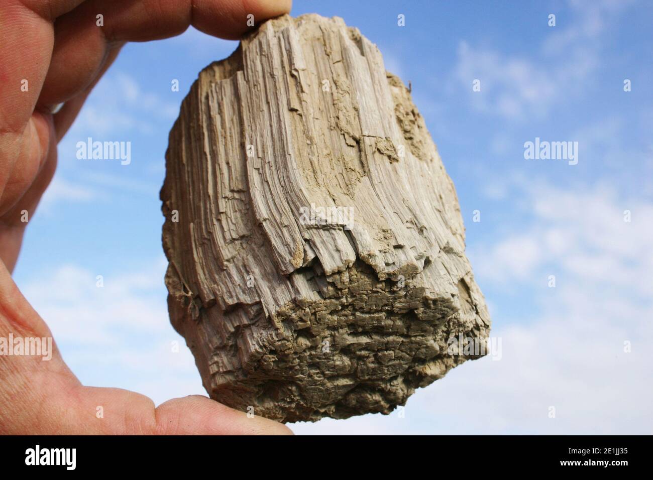 Buzau County, Romania. Solid clay formation from the eruption of the ...