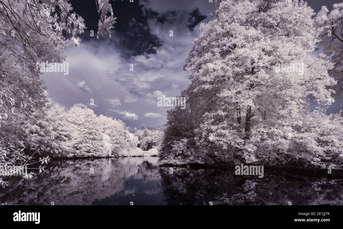 infrared photography - ir photo of landscape with tree under sky with ...