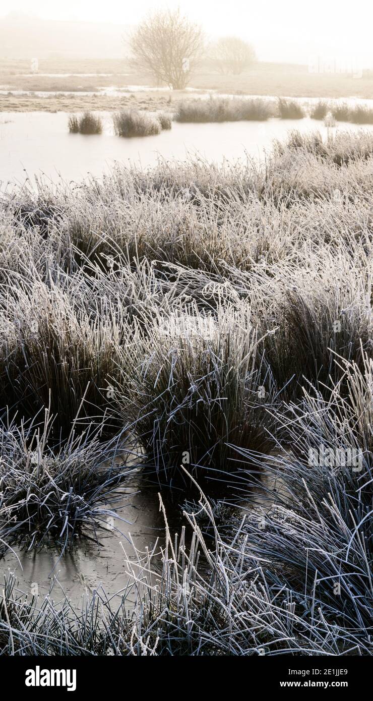 Cold and misty day - landscape Stock Photo - Alamy
