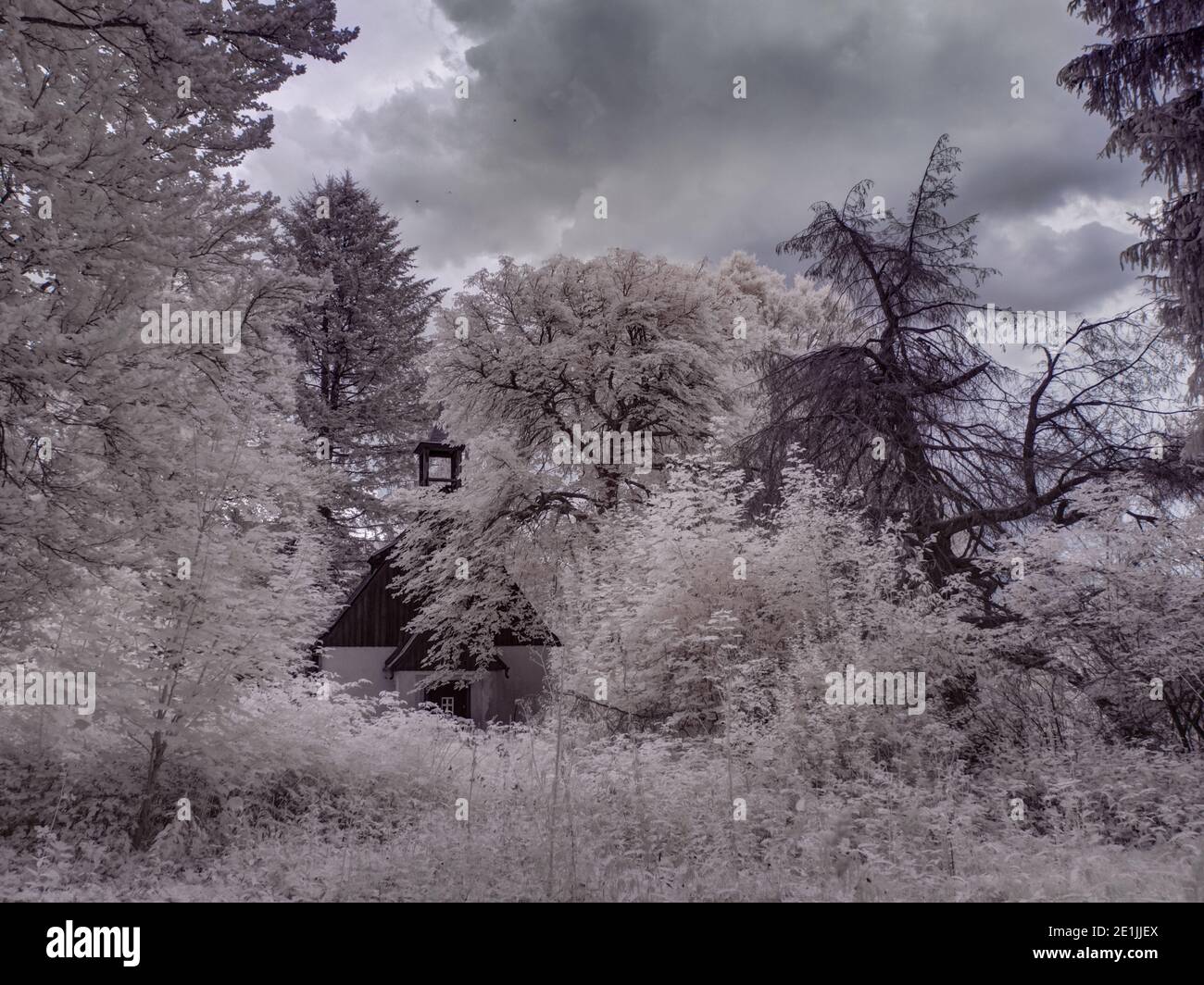 infrared photography - ir photo of landscape with tree under sky with ...