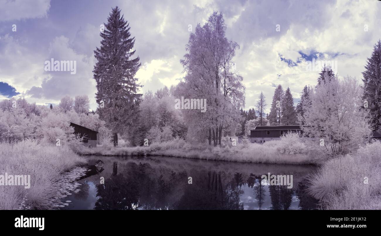 infrared photography - ir photo of landscape with tree under sky with ...