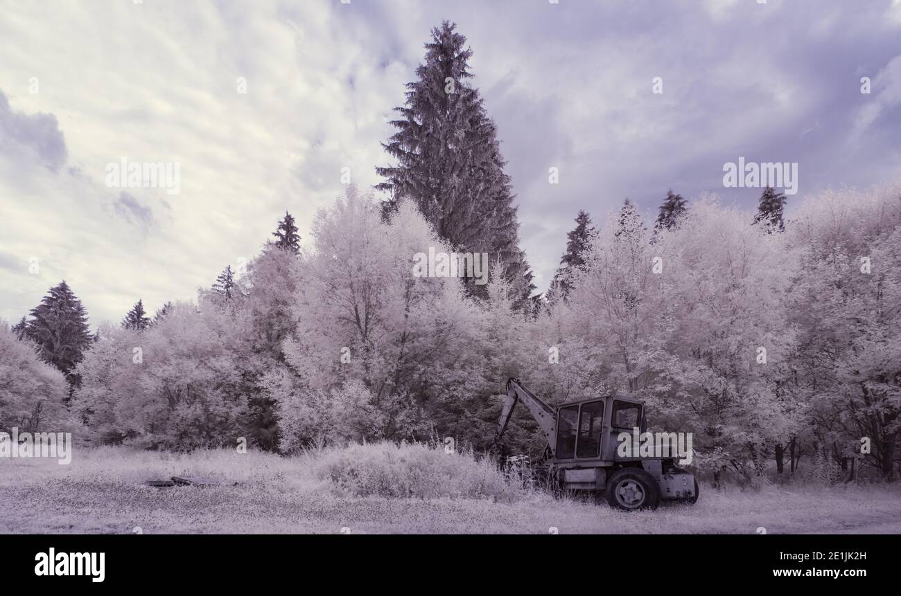 infrared photography - ir photo of landscape with tree under sky with ...