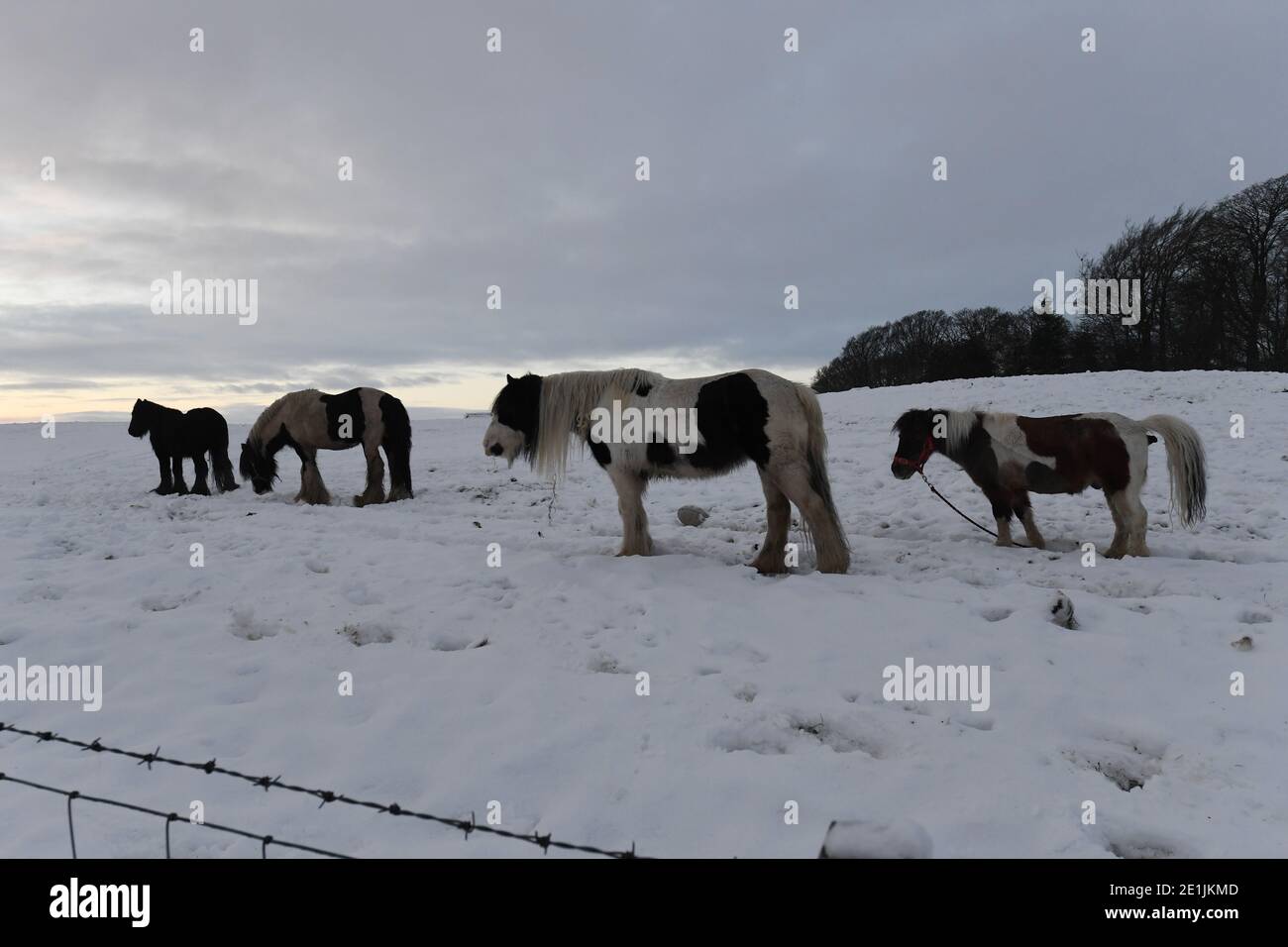 Down on the farm hi-res stock photography and images - Alamy