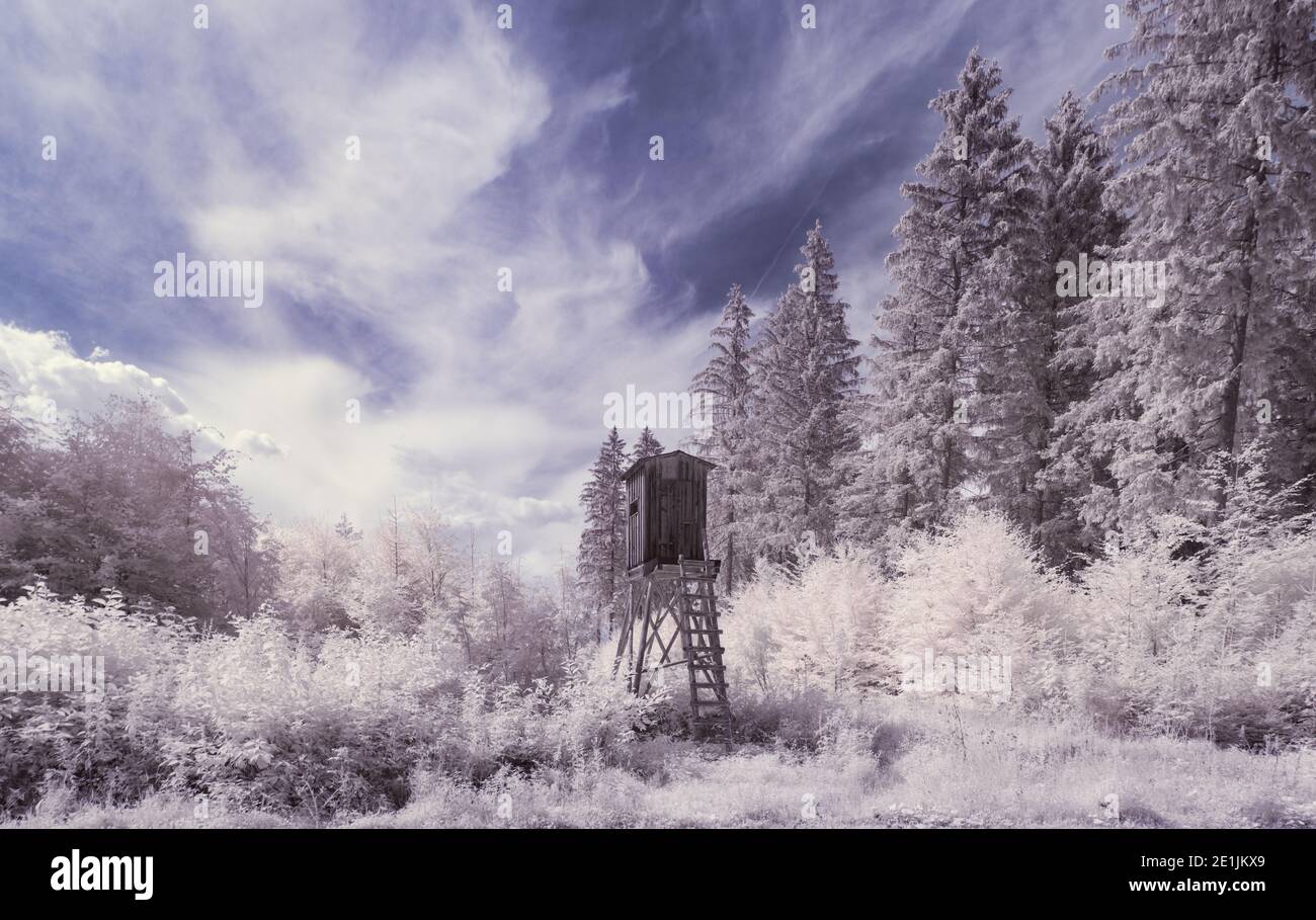 infrared photography - ir photo of landscape with tree under sky with ...