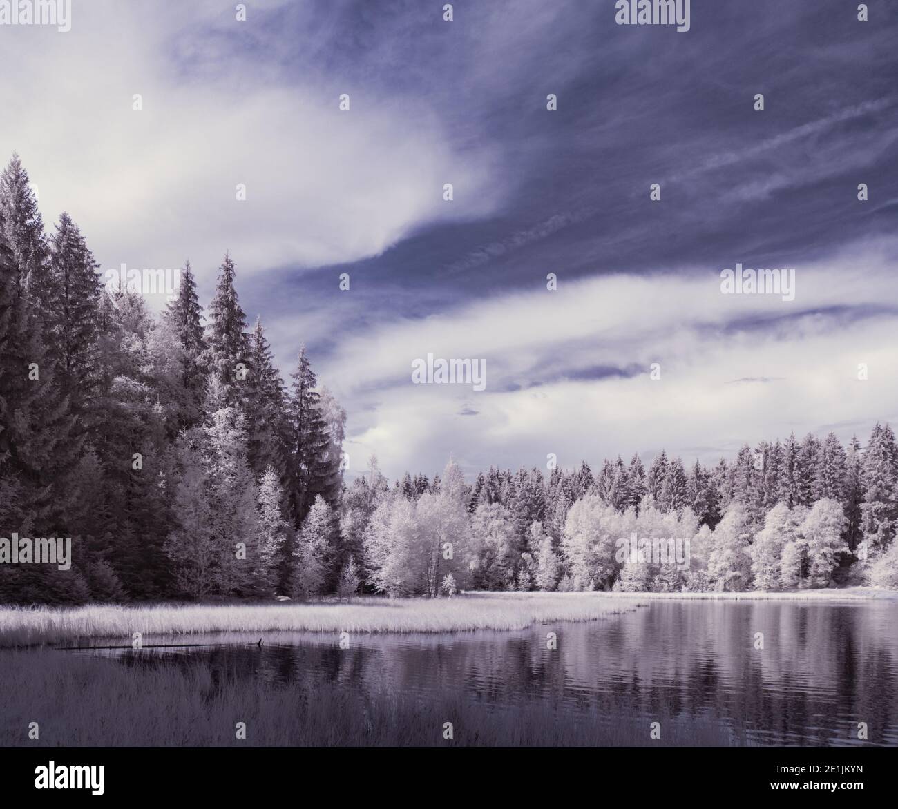 infrared photography - ir photo of landscape with tree under sky with ...