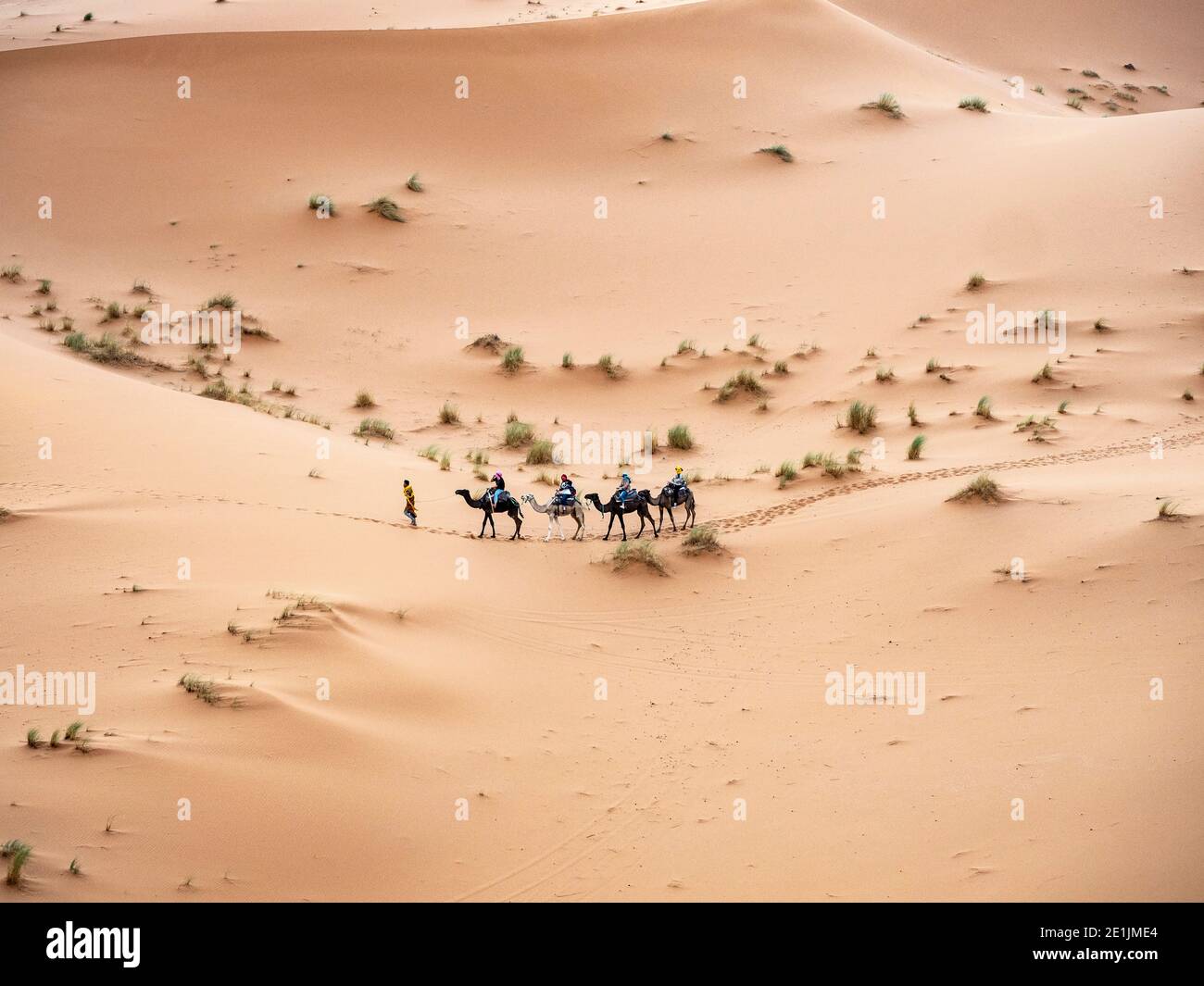Moroccan caravan hi-res stock photography and images - Alamy