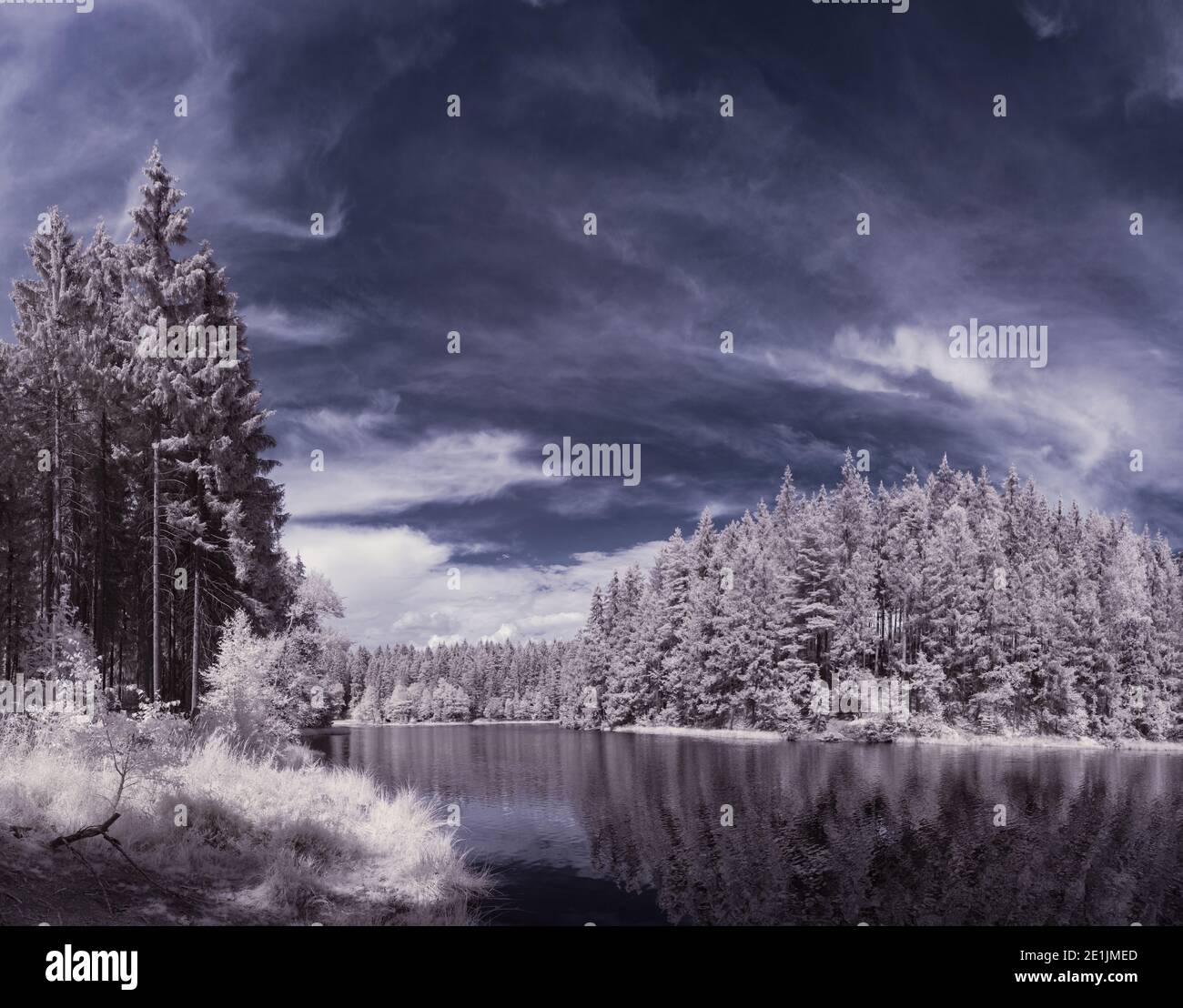 infrared photography - ir photo of landscape with tree under sky with ...