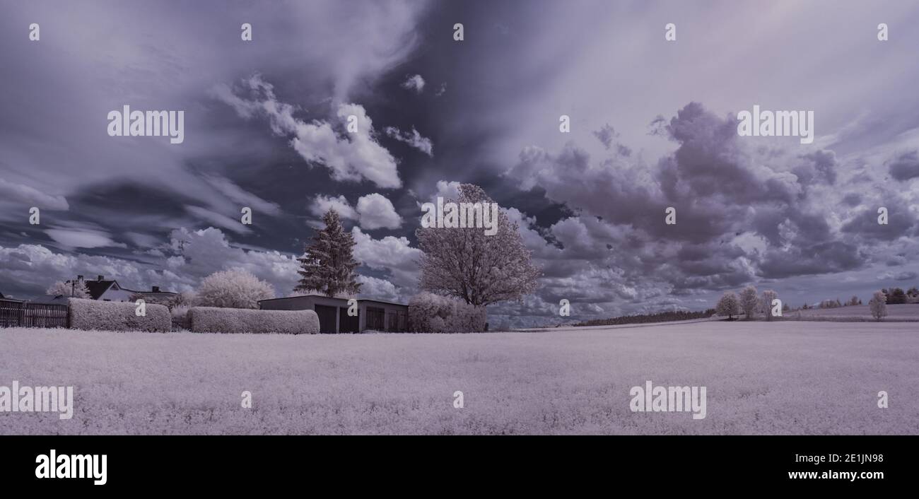 infrared photography - ir photo of landscape with tree under sky with ...