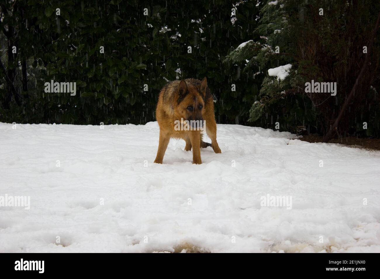 Copious hi-res stock photography and images - Alamy