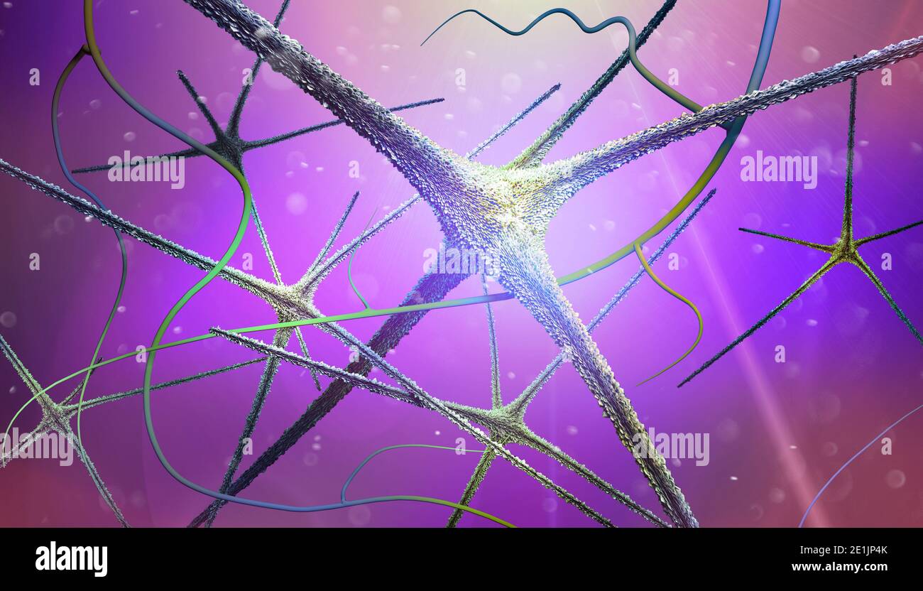 View of the synapses brain connections neurons and synapses communication hi-res stock ...