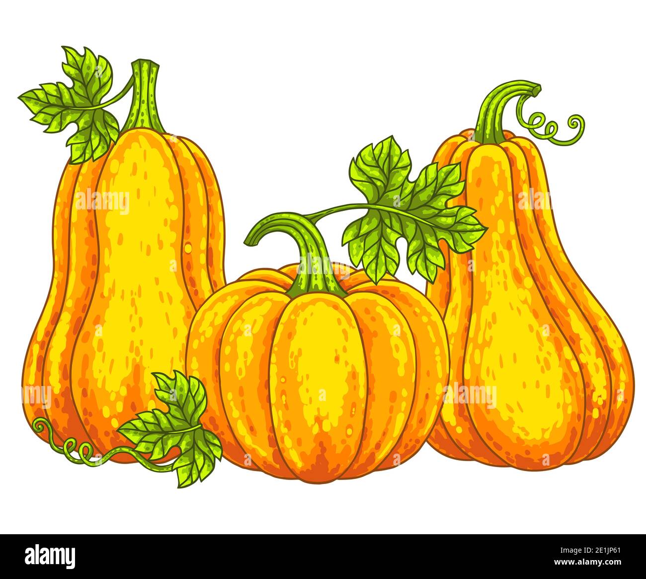 Cutie Pumpkins