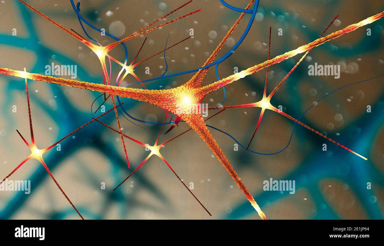 Microscopic view of the synapses. Brain connections. Neurons and synapses. Communication and ...