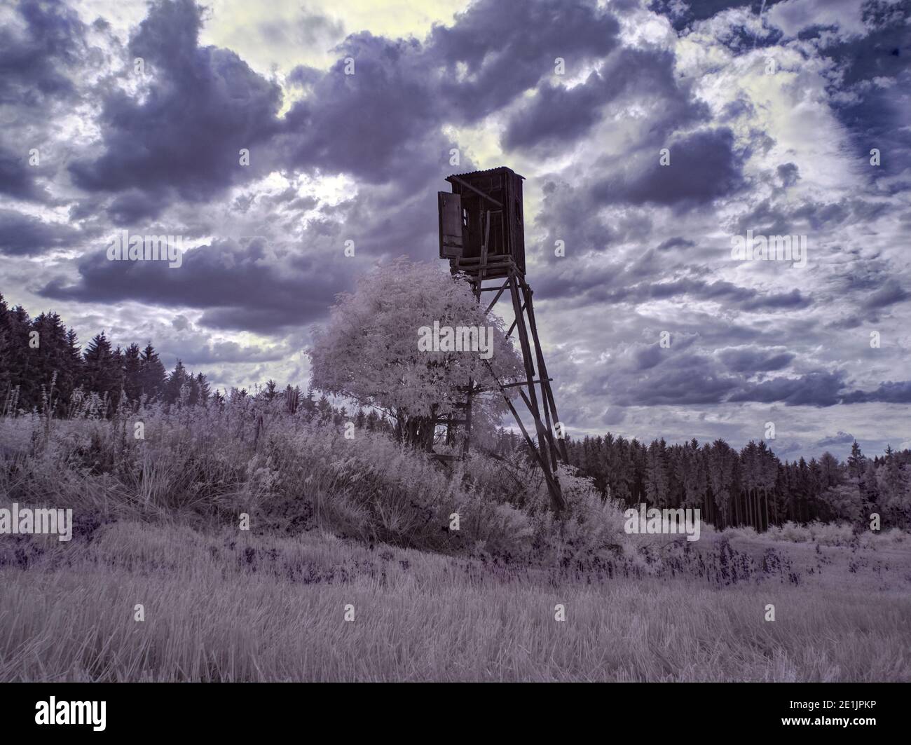 infrared photography - ir photo of landscape with tree under sky with ...