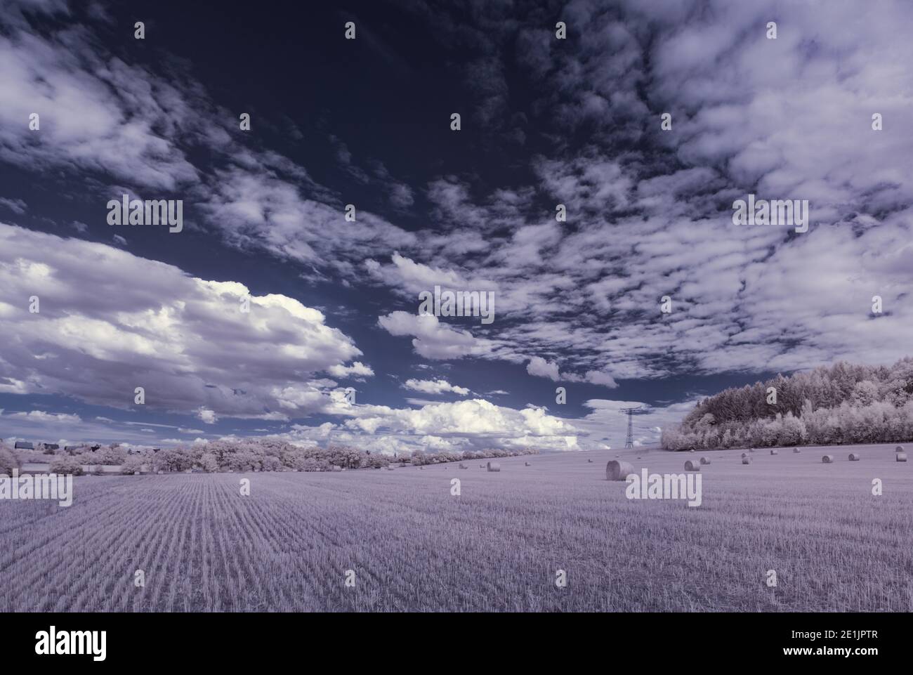 infrared photography - ir photo of landscape with tree under sky with ...