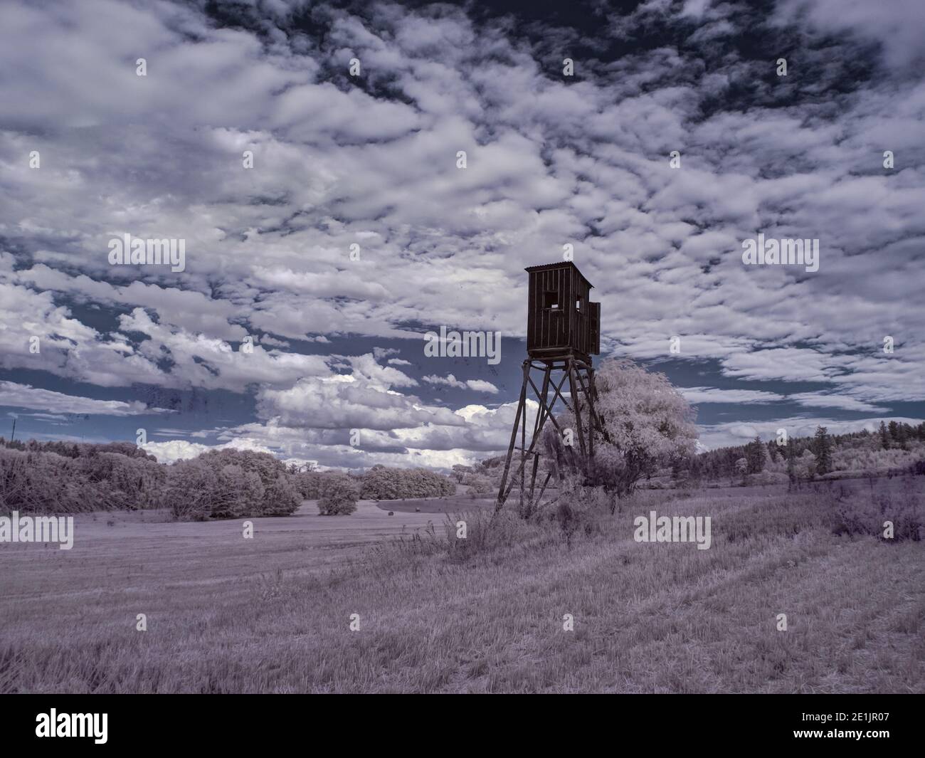 infrared photography - ir photo of landscape with tree under sky with ...