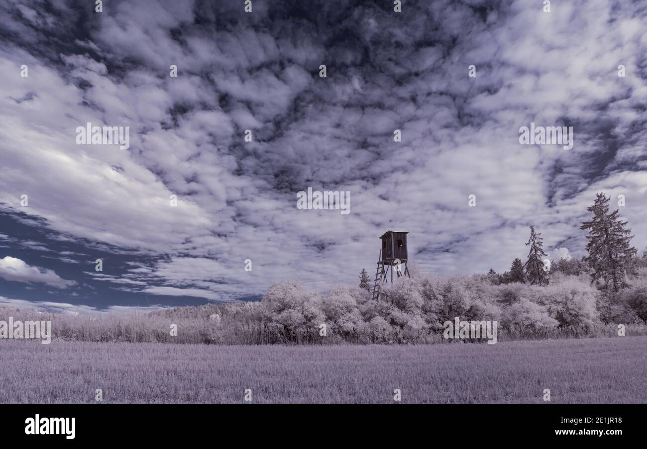 infrared photography - ir photo of landscape with tree under sky with ...
