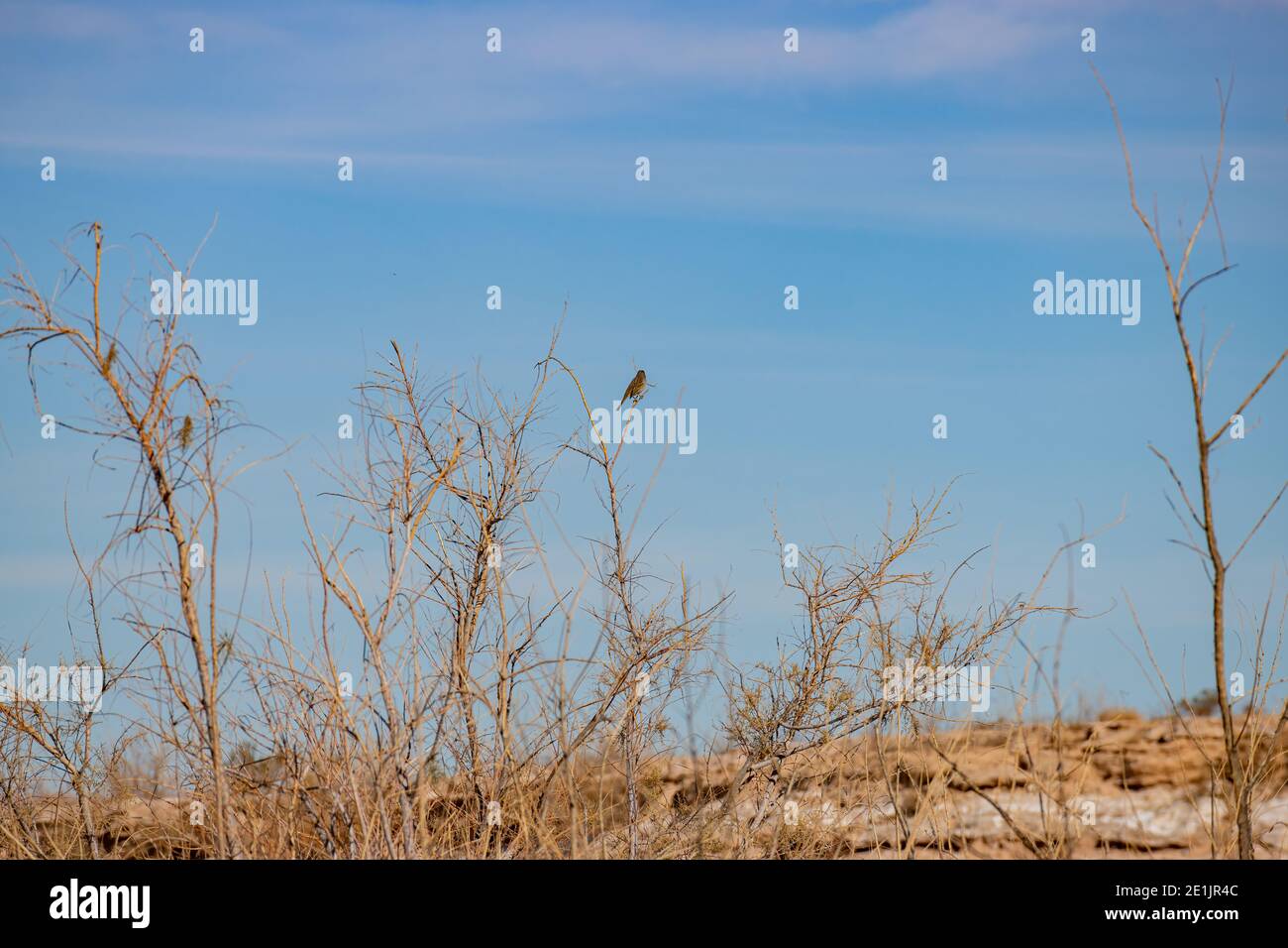 Beautiful landscape along the famous White Owl Canyon trail at Lake ...