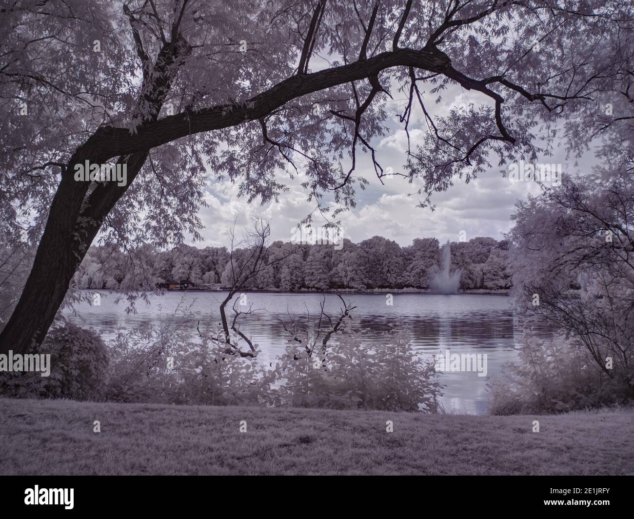 infrared photography - ir photo of landscape with tree under sky with ...
