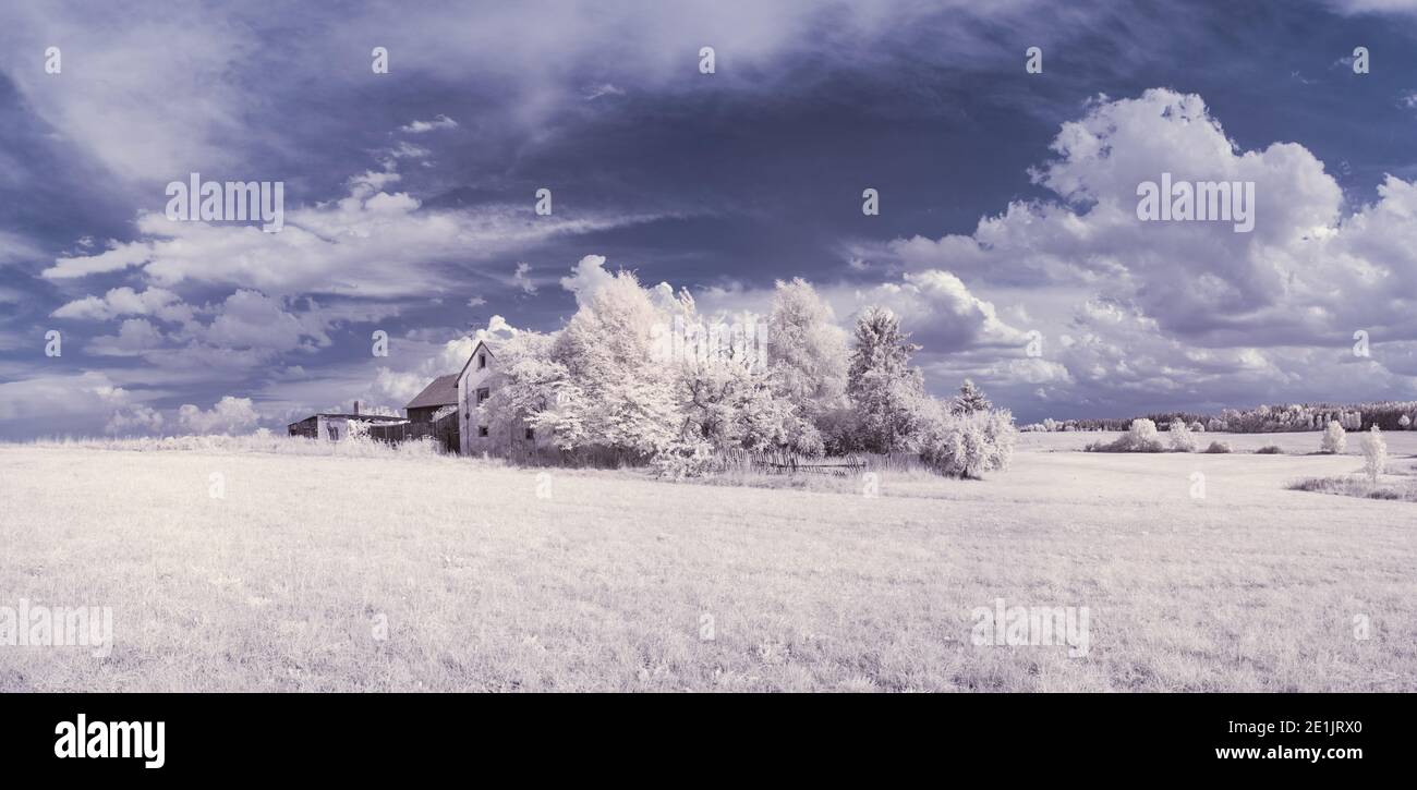 infrared photography - ir photo of landscape with tree under sky with ...
