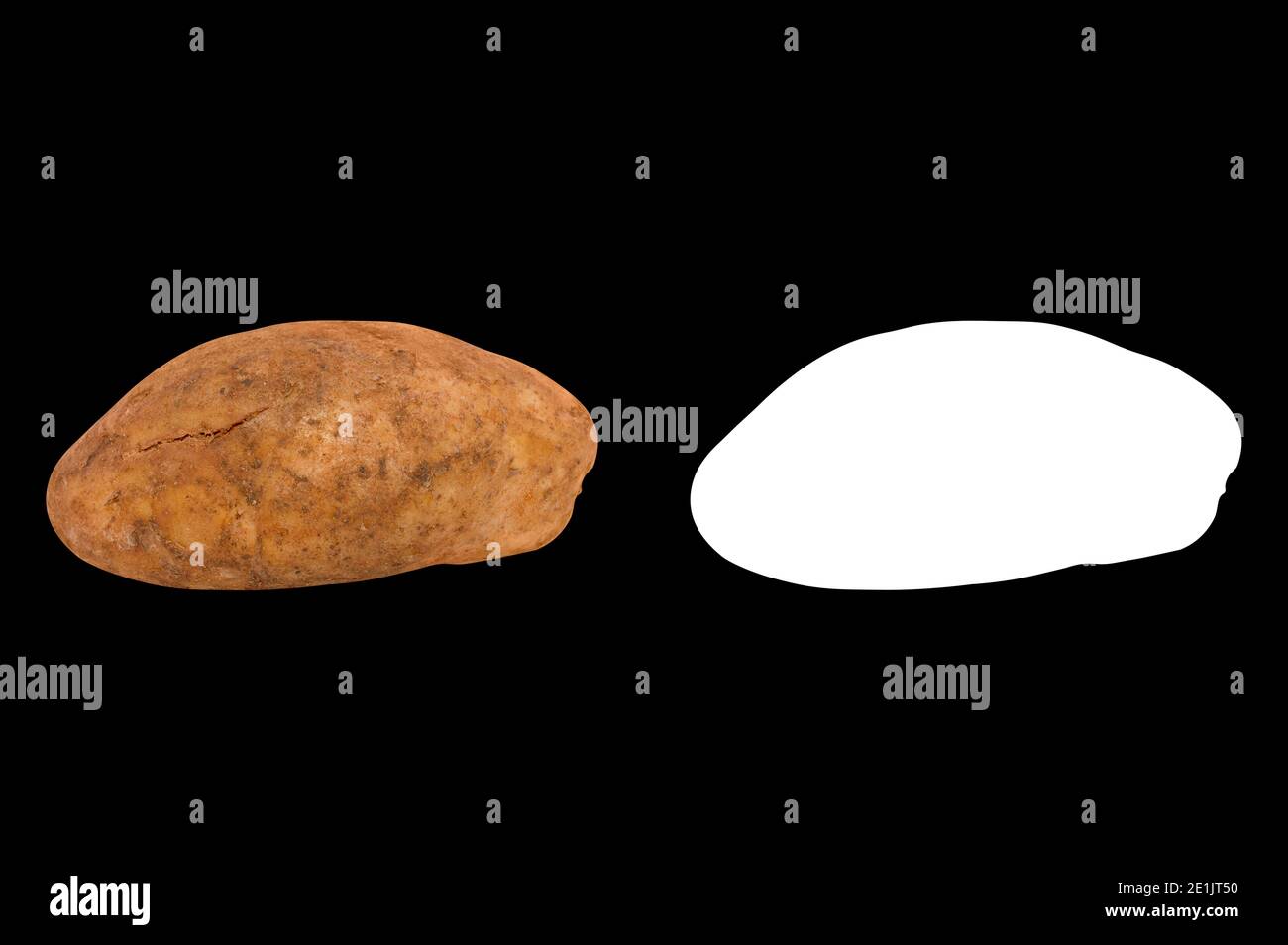 A russet potato isolated on transparent background an alpha channel by ...