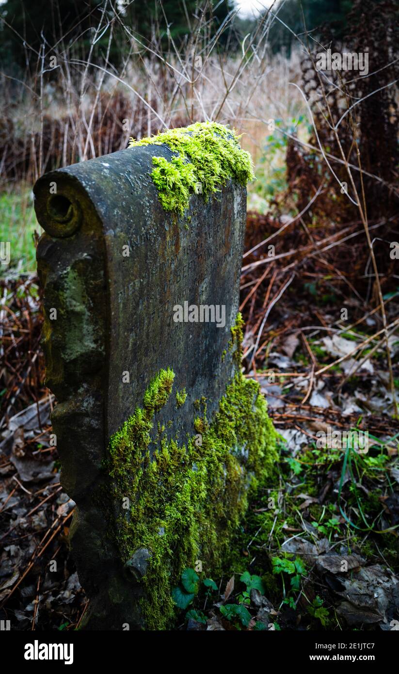 Moss covered gravestone hi-res stock photography and images - Alamy