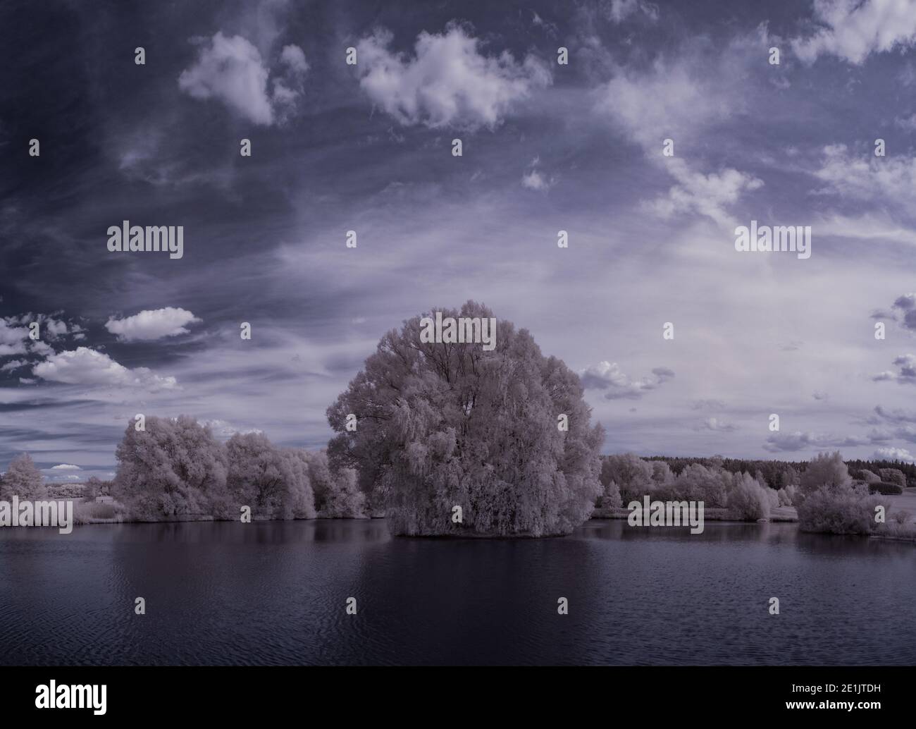 infrared photography - ir photo of landscape with tree under sky with ...