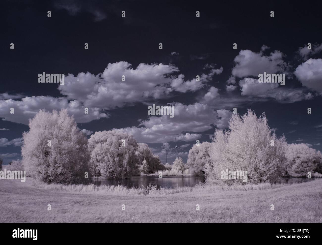 infrared photography - ir photo of landscape with tree under sky with ...
