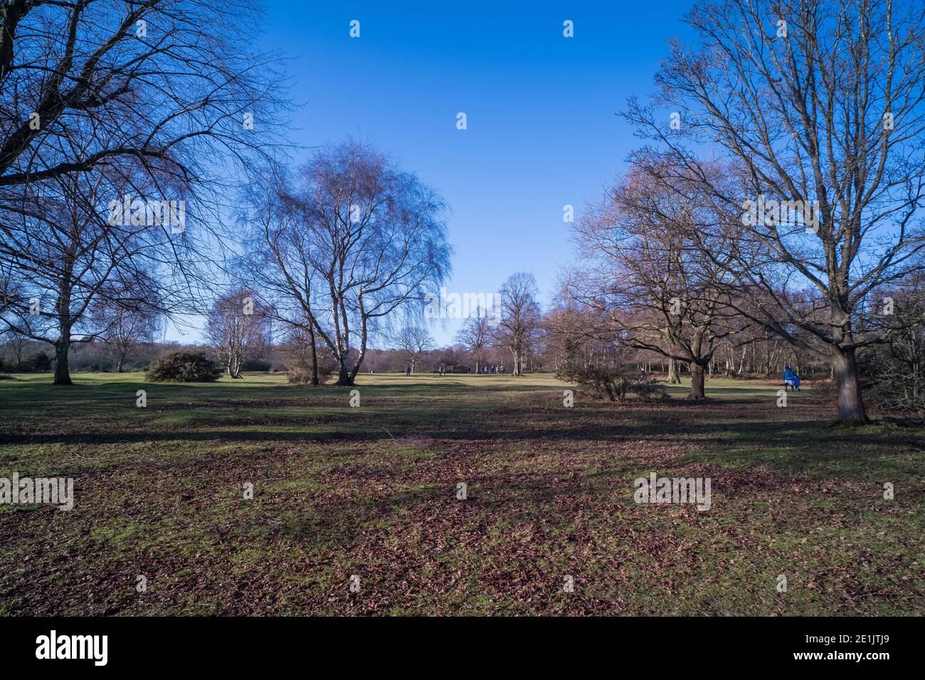 Sutton Park in Sutton Coldfield near Birmingham is 2000 acres of ...