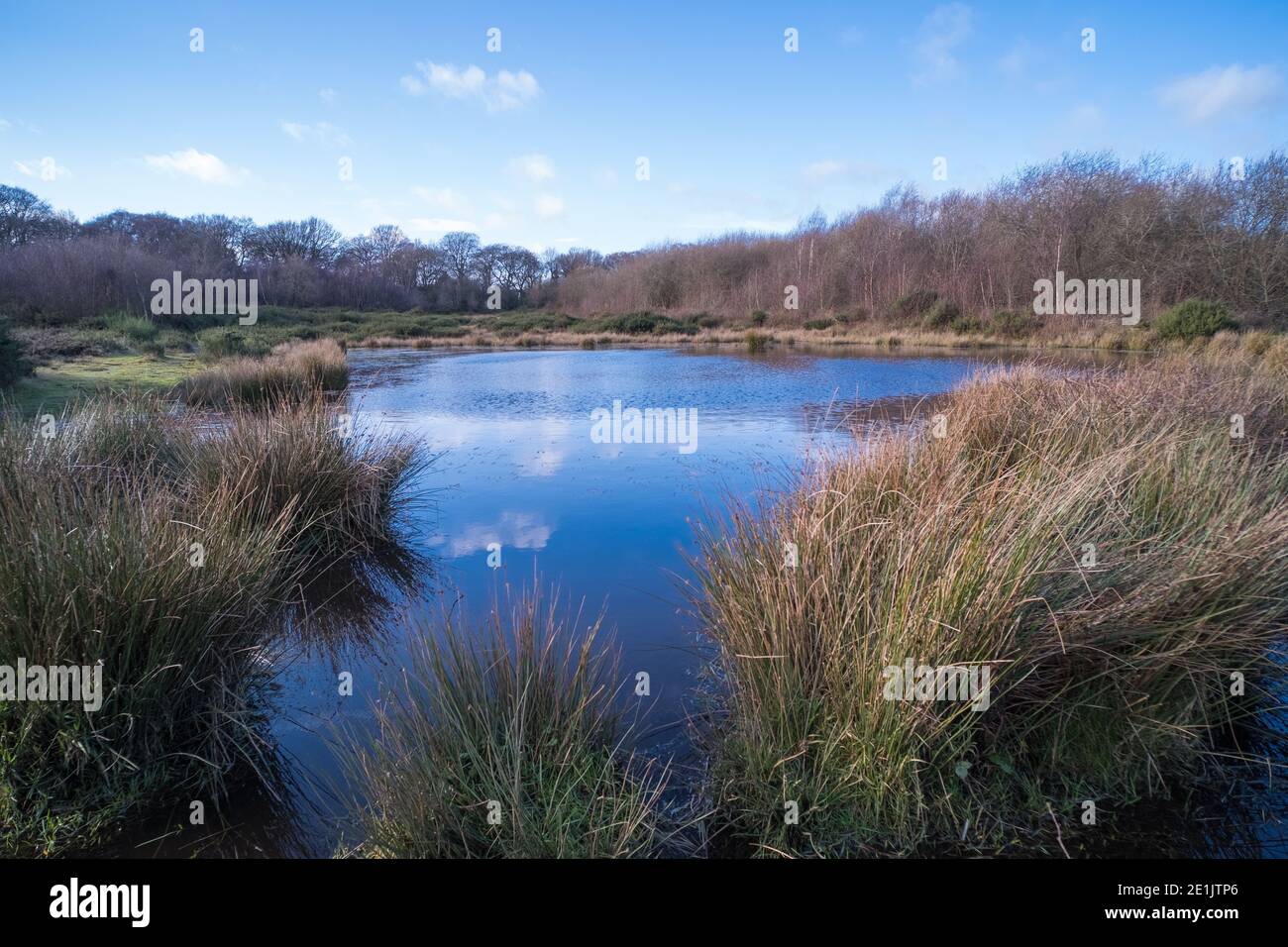 Sutton Park in Sutton Coldfield near Birmingham is 2000 acres of ...