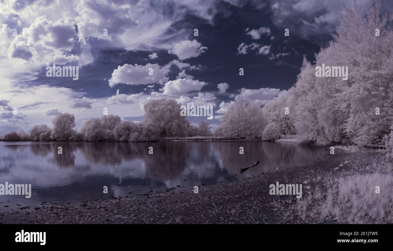 infrared photography - ir photo of landscape with tree under sky with ...