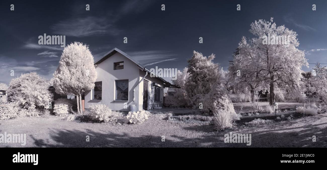 infrared photography - ir photo of landscape with tree under sky with ...