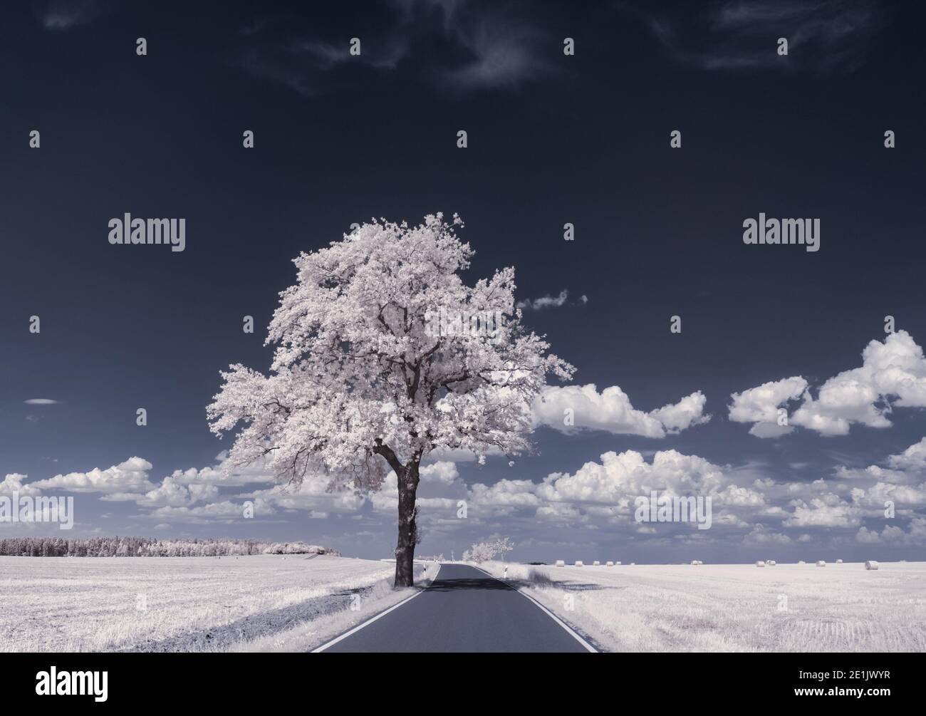 infrared photography - ir photo of landscape with tree under sky with ...