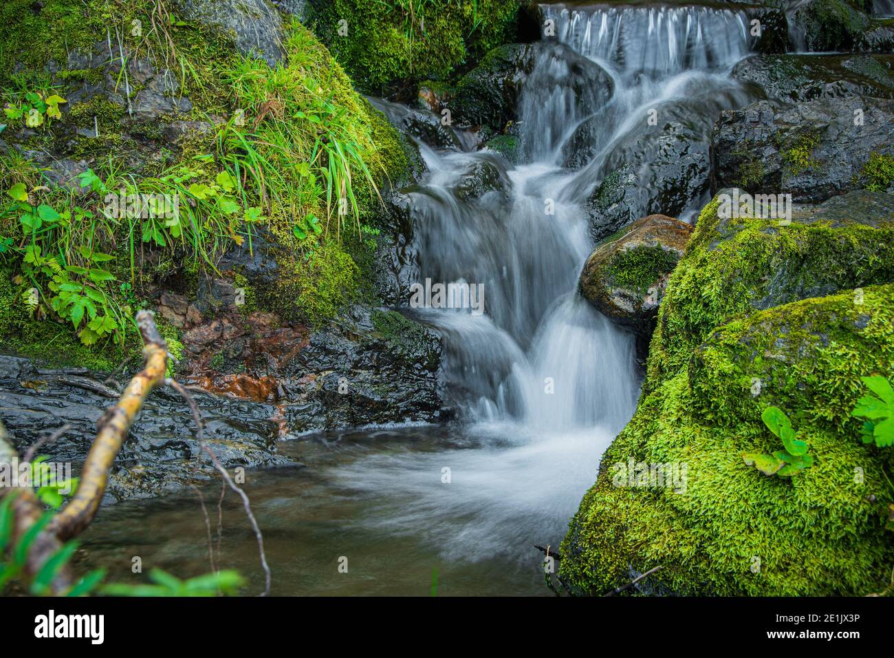 Forest stream in rainforest. Waterfall among mossy rocks and greenery ...