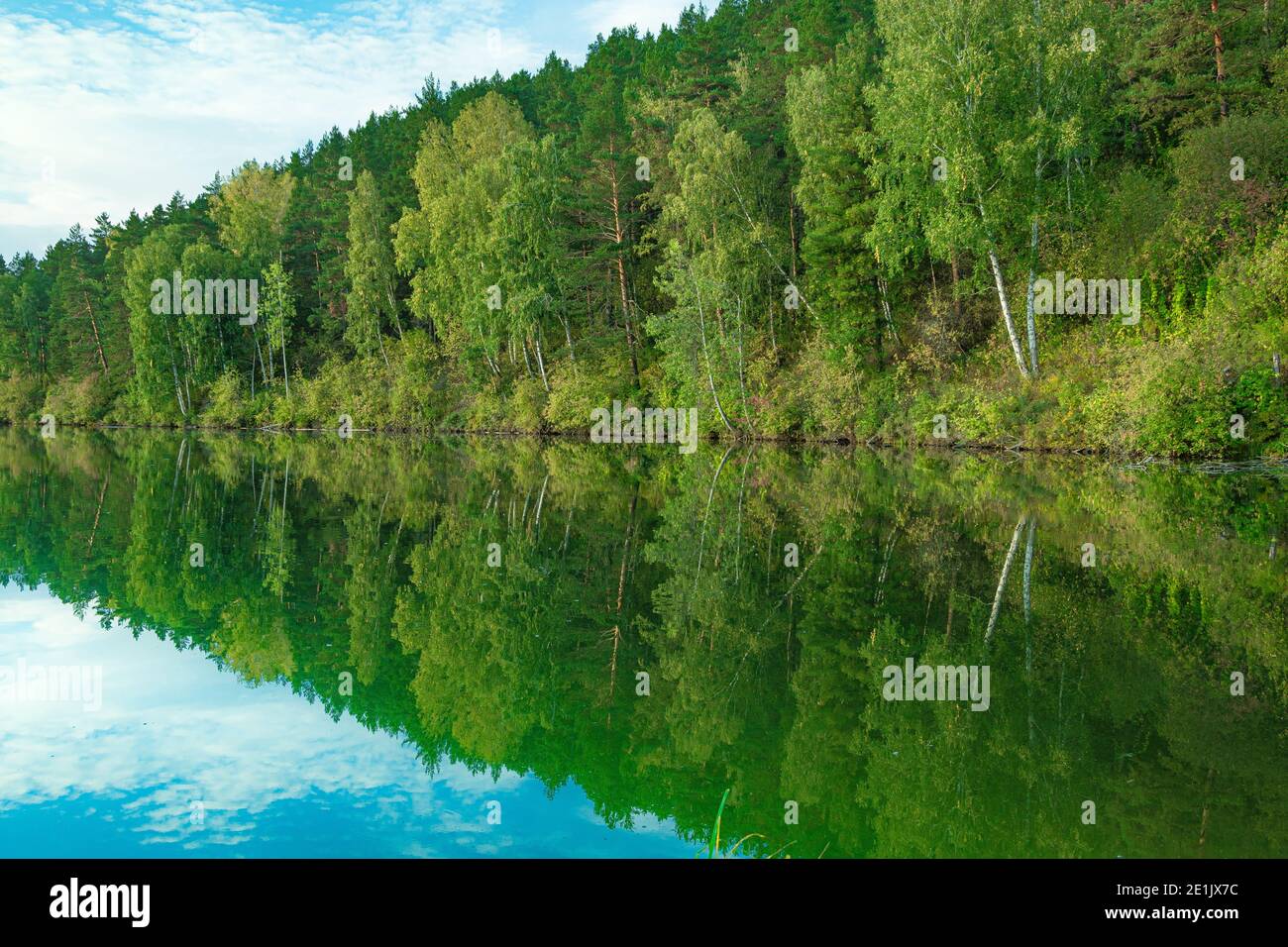 Reflection of trees in mirror of lake Stock Photo - Alamy