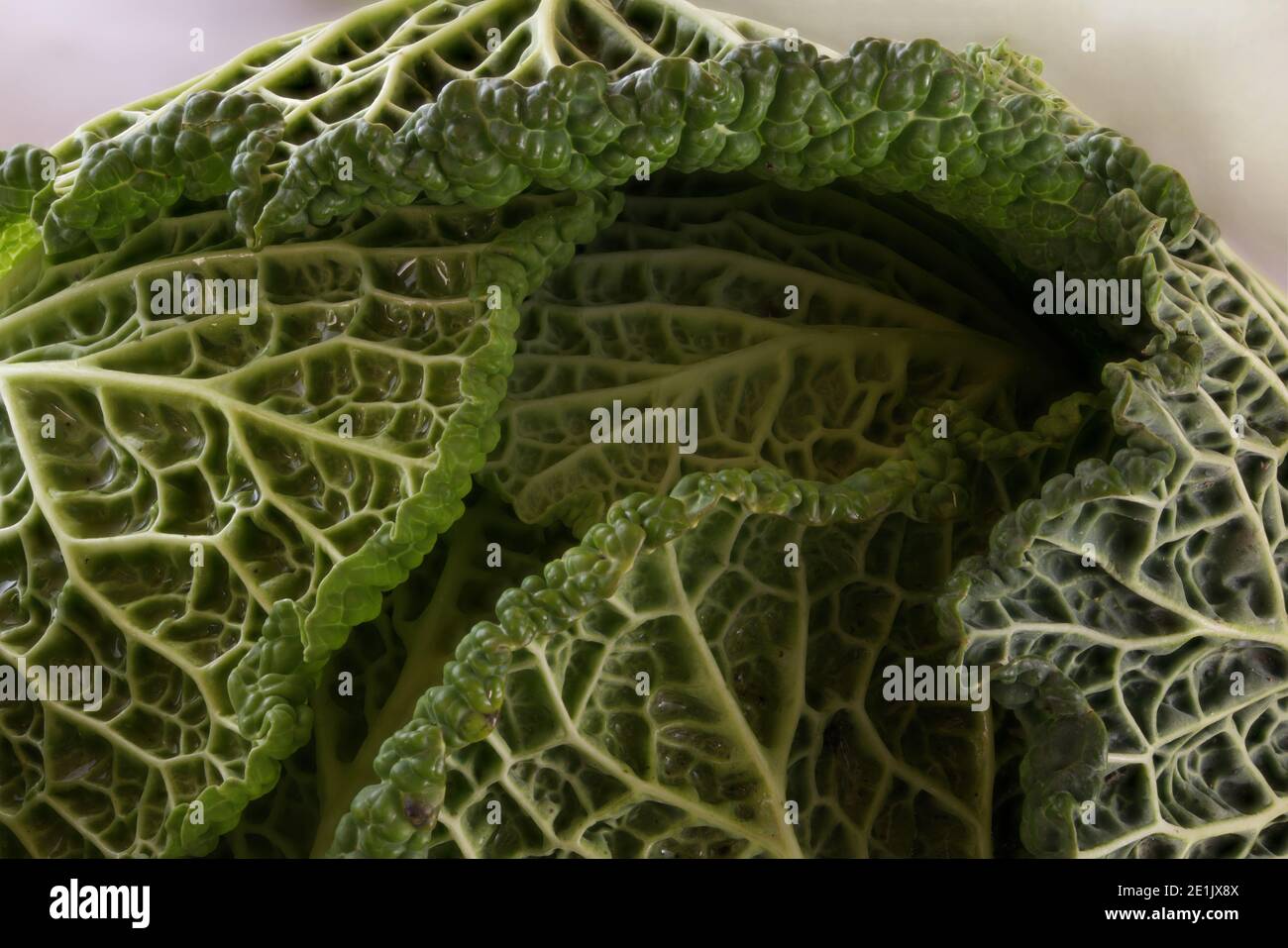 cabbage close up Stock Photo - Alamy