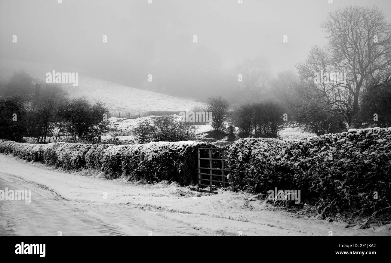 Misty, snowy landscape Stock Photo - Alamy