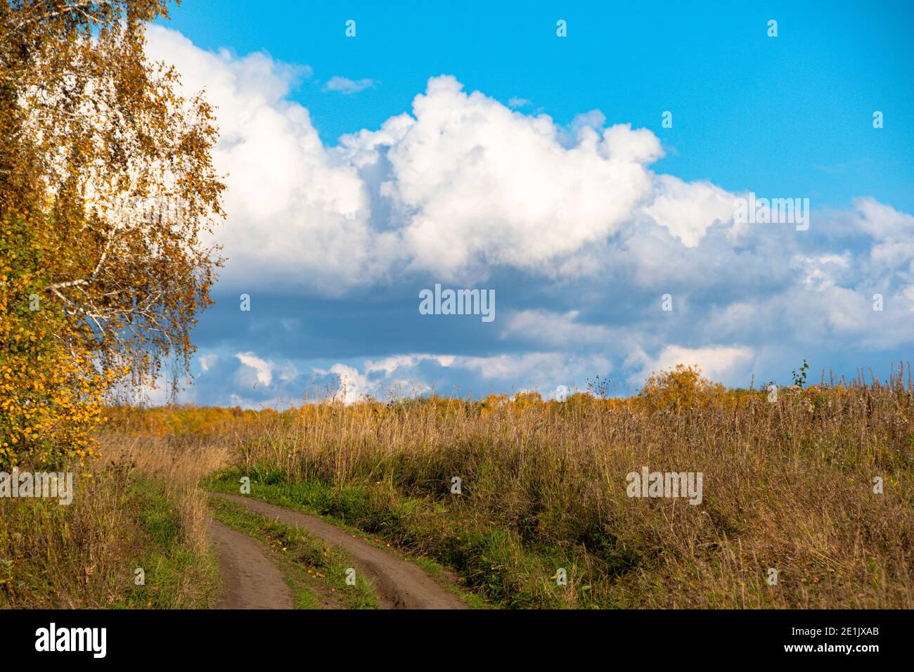 Field path track overcast hi-res stock photography and images - Alamy