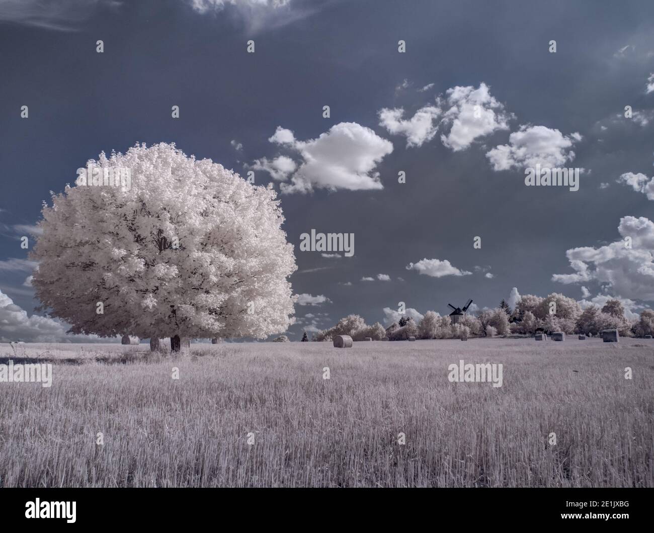 infrared photography - ir photo of landscape with tree under sky with ...