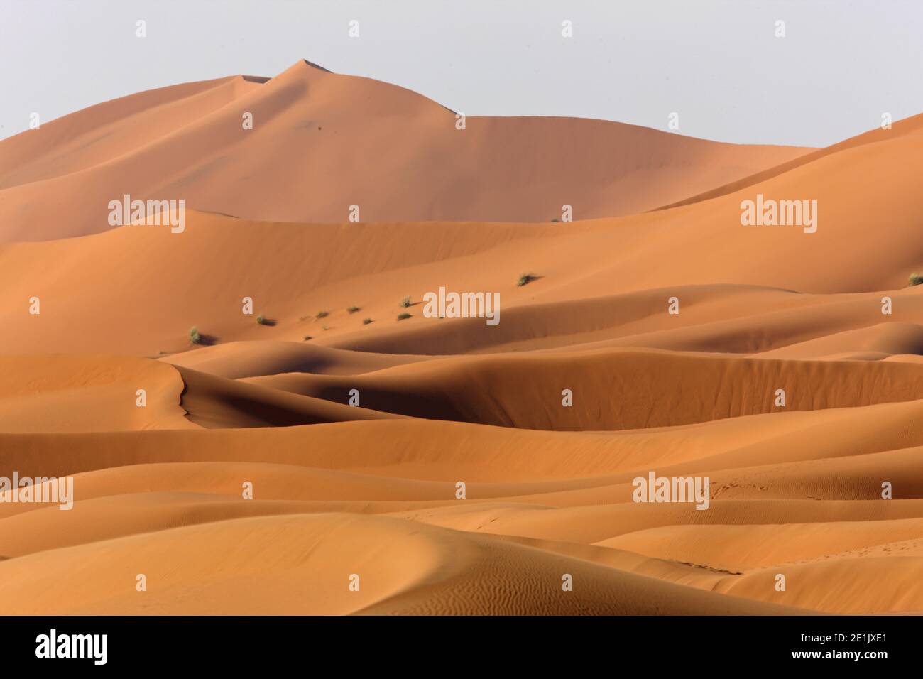 Sahara desert early morning hi-res stock photography and images - Alamy