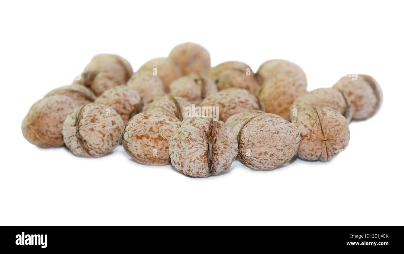 Walnut isolated on white background Stock Photo - Alamy