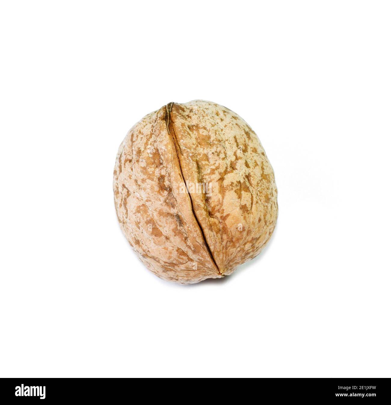 Walnut isolated on white background Stock Photo - Alamy
