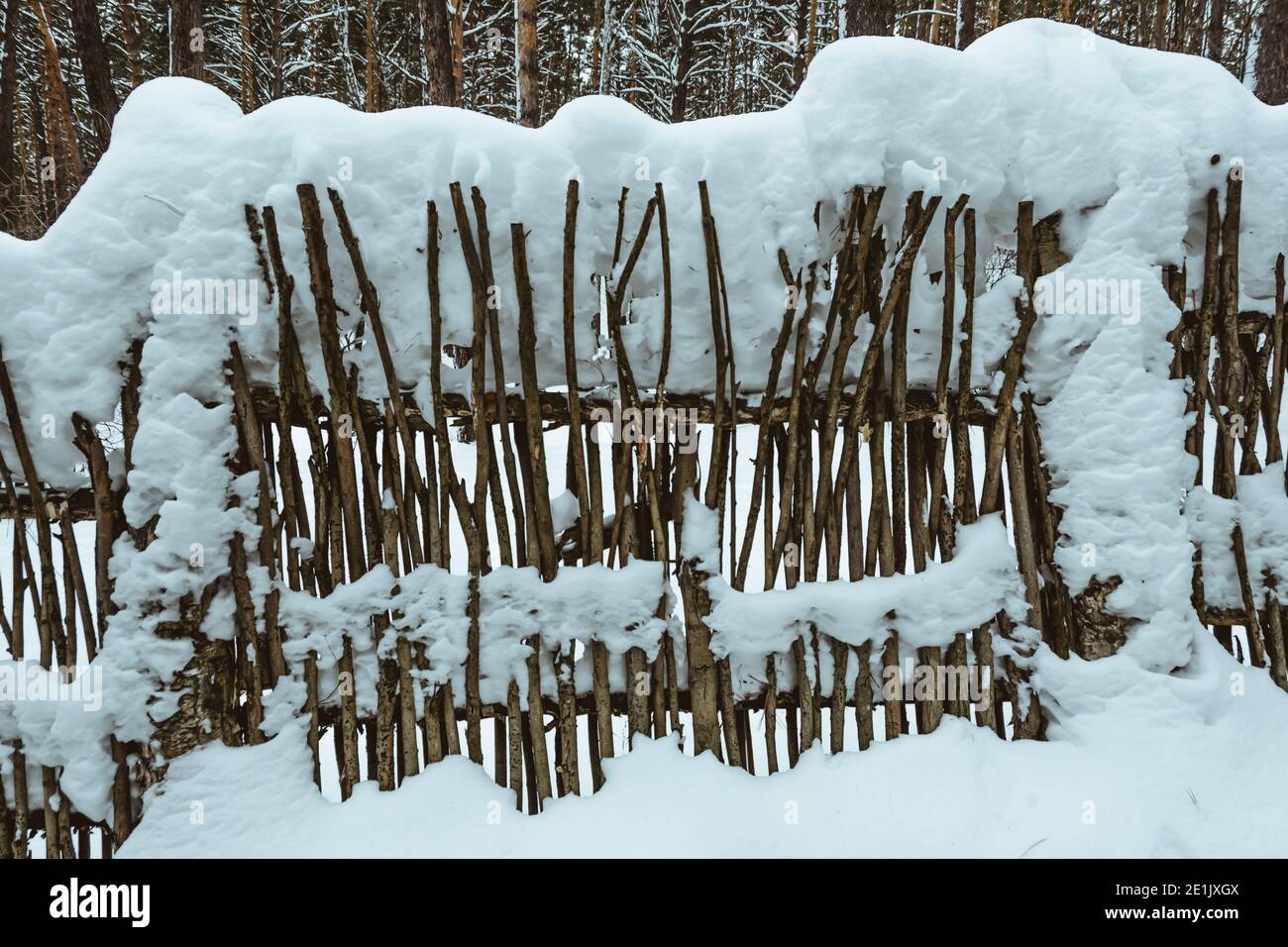 Old wooden village fence made of branches under snow Stock Photo - Alamy