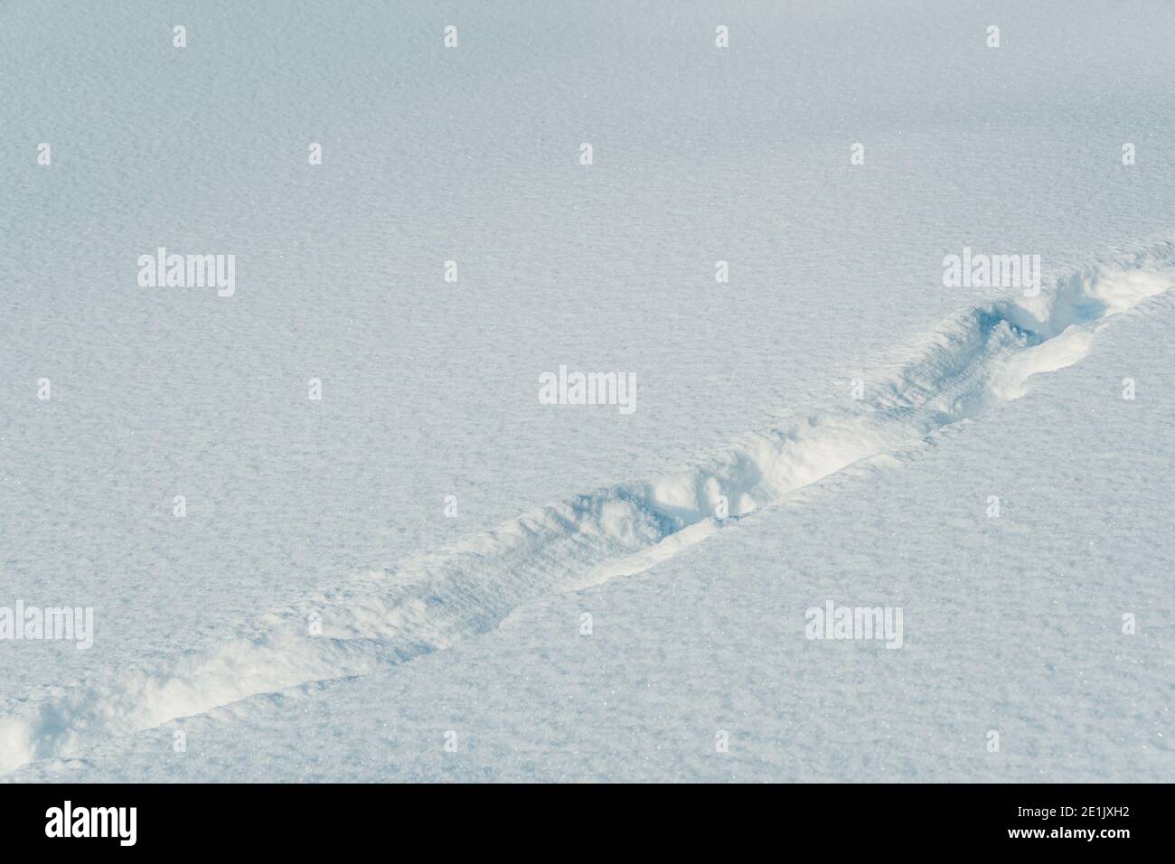 Bright snowy pathway hi-res stock photography and images - Alamy