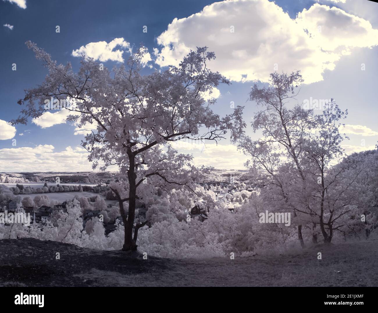 infrared photography - ir photo of landscape with tree under sky with ...