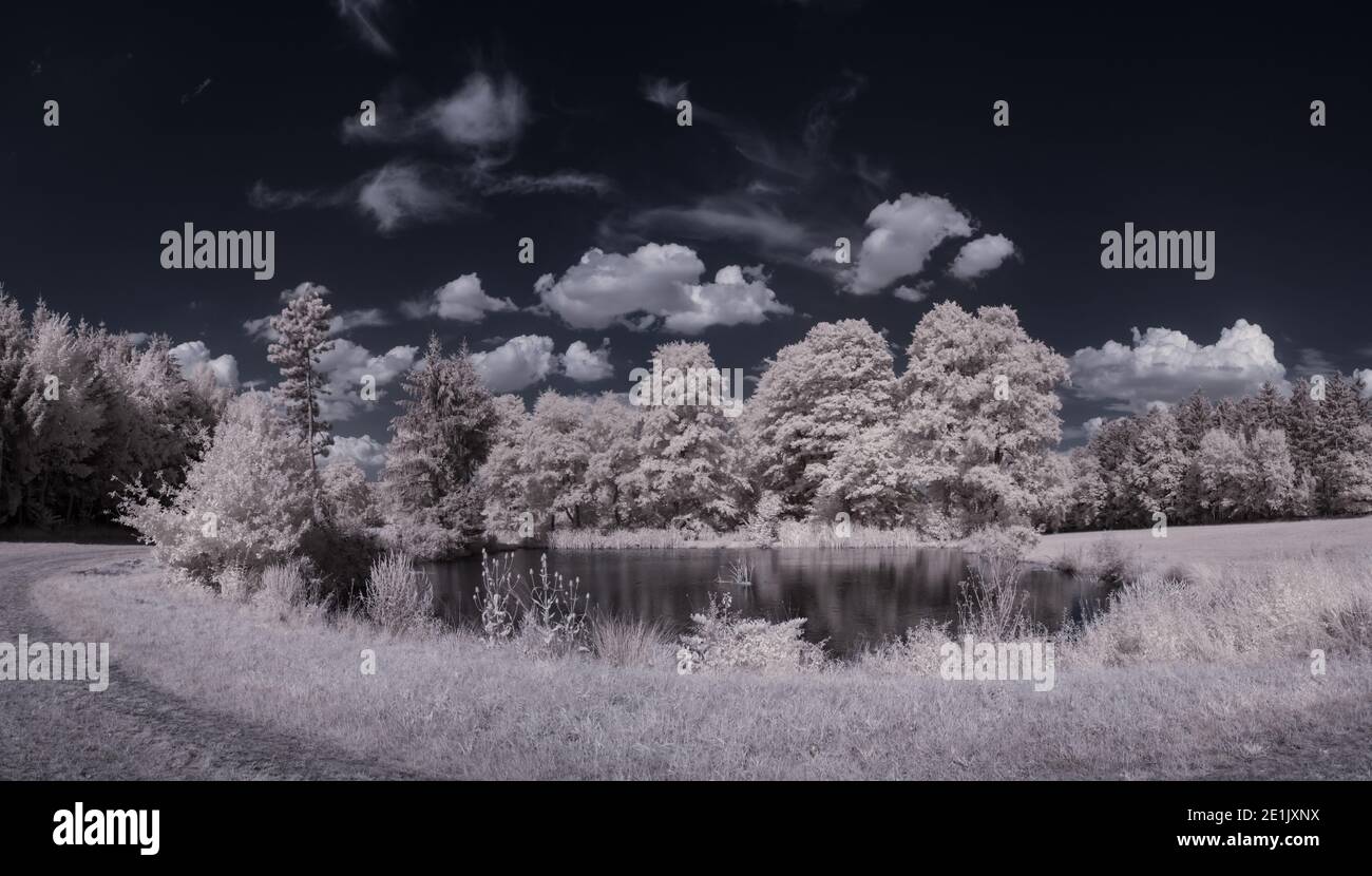 infrared photography - ir photo of landscape with tree under sky with ...