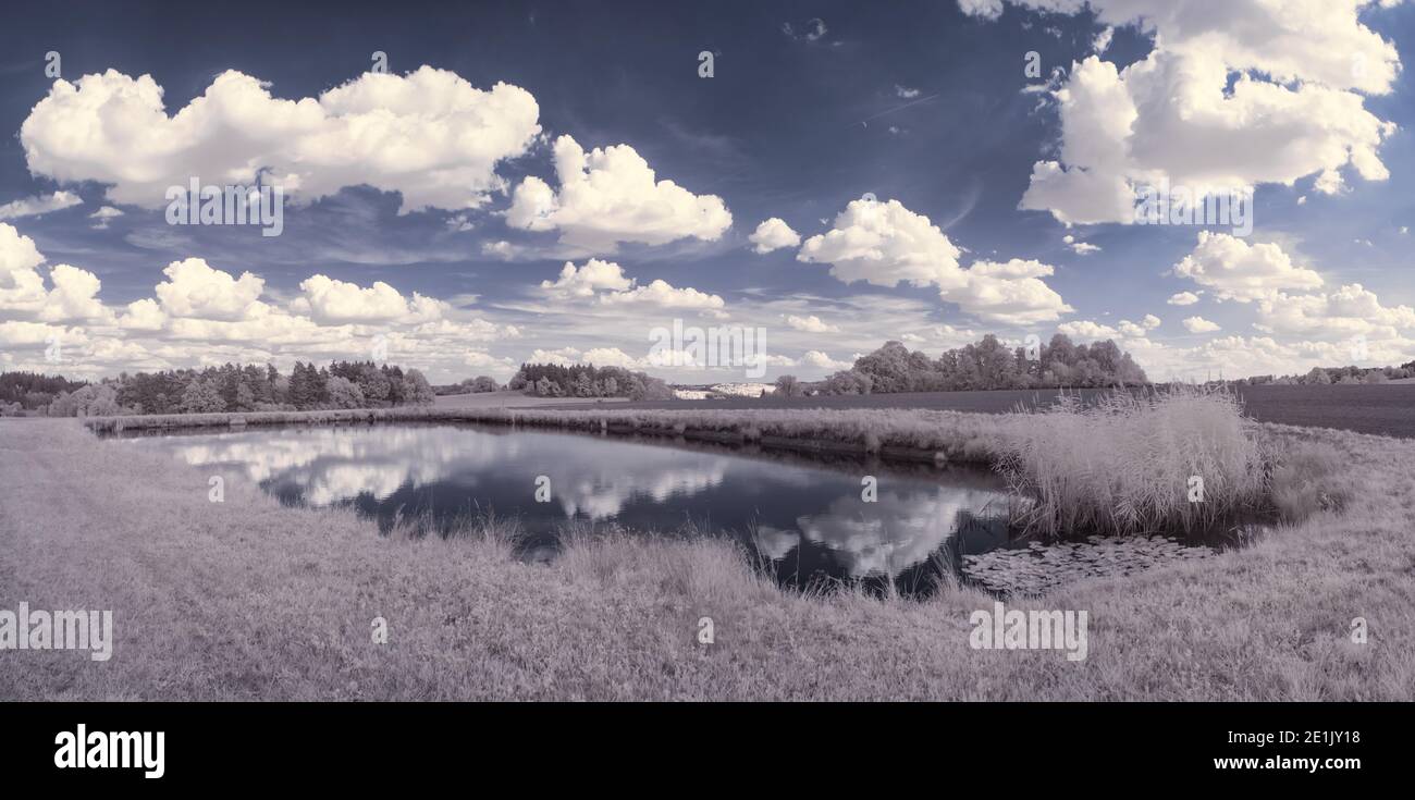 infrared photography - ir photo of landscape with tree under sky with ...