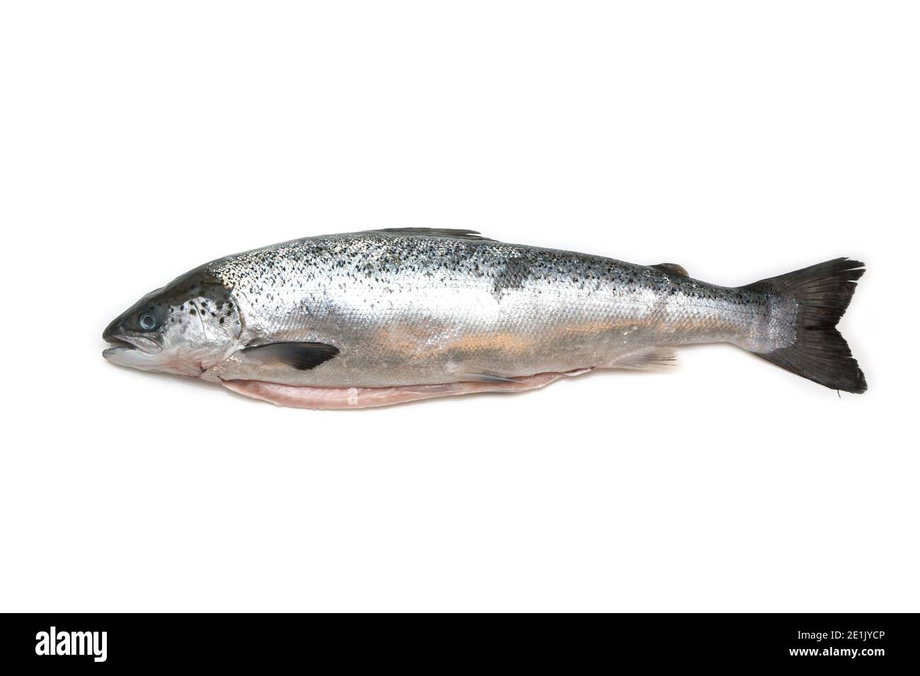 1kg fish hi-res stock photography and images - Alamy