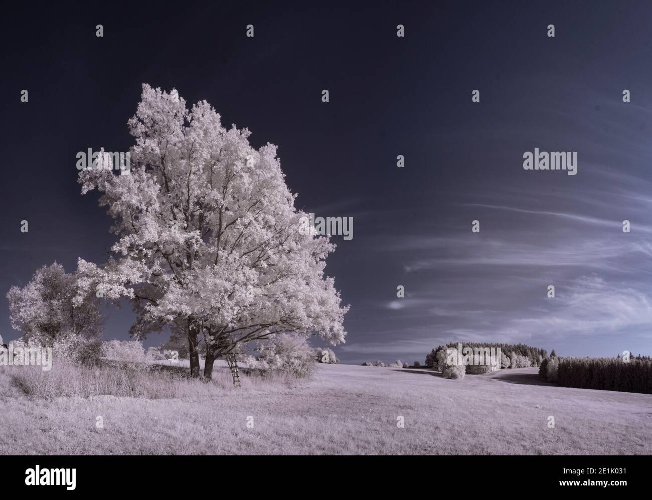 infrared photography - ir photo of landscape with tree under sky with ...