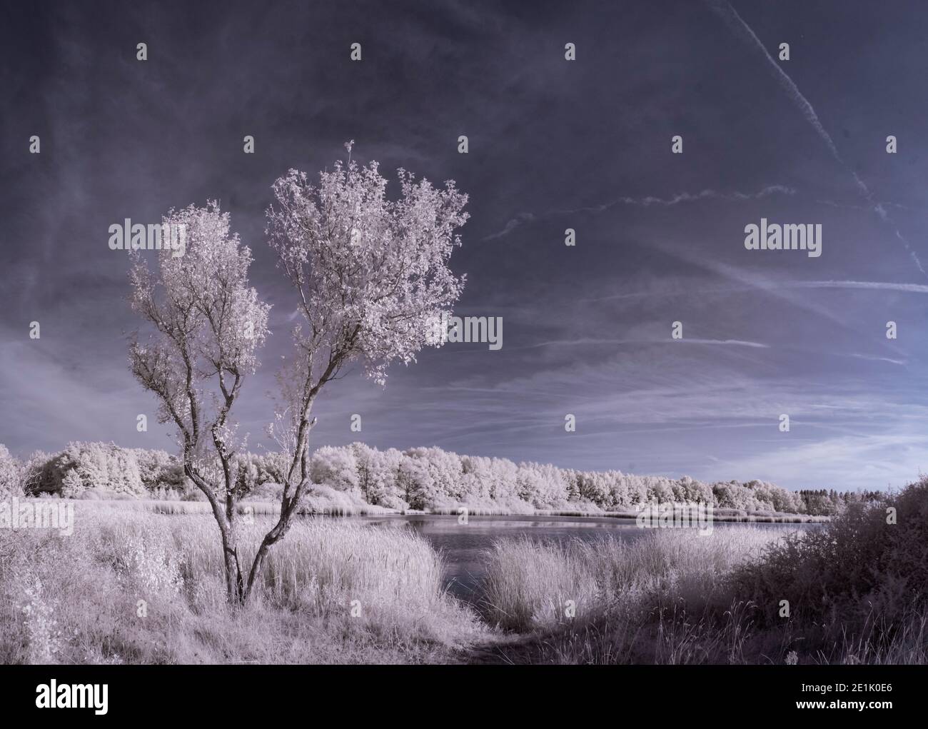 infrared photography - ir photo of landscape with tree under sky with ...