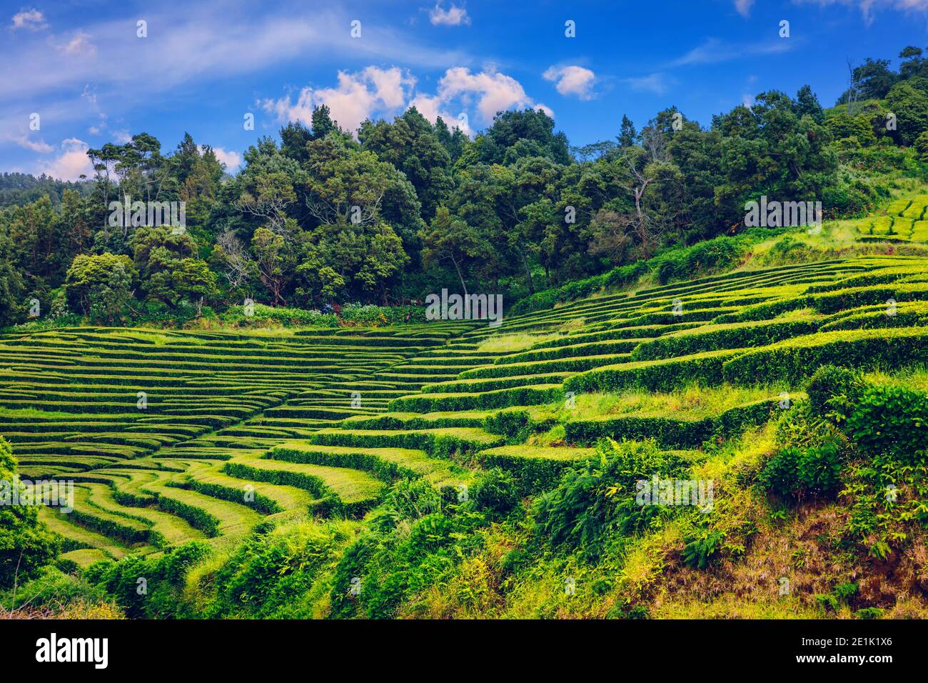 Agriculture In Portugal High Resolution Stock Photography and Images ...